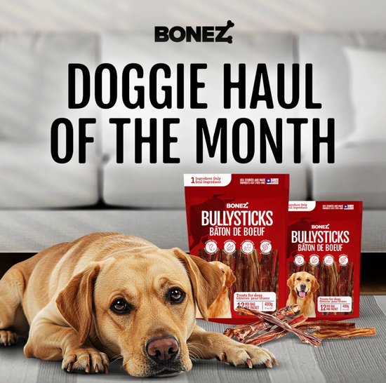 Bonez Bully Sticks - 100% Quality Beef & Best Price - Made in the USA